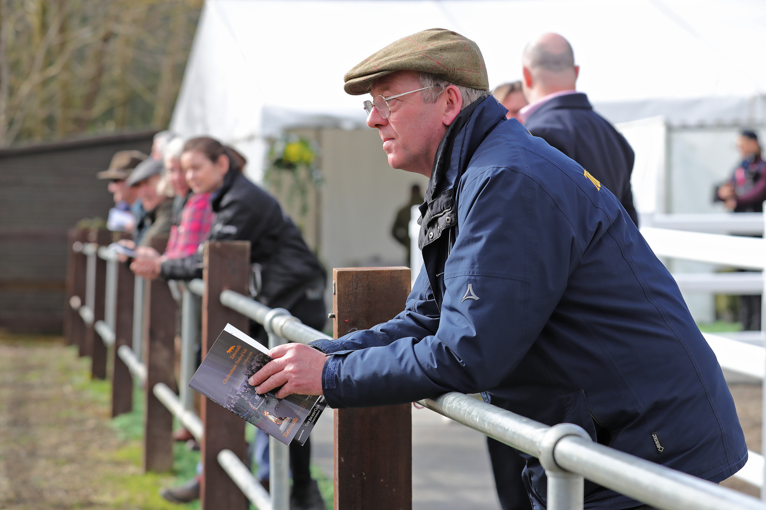 News - Cheltenham