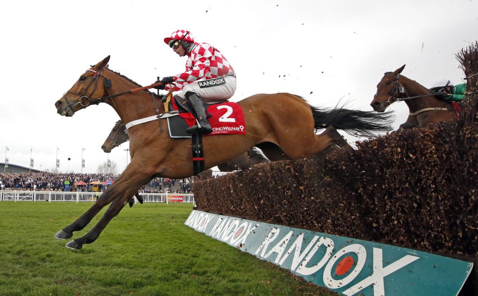 Exciting Early Entries Online for the Tattersalls Cheltenham April Sale ...